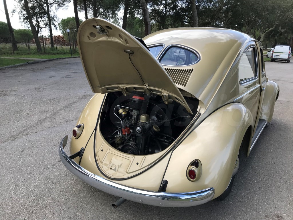 Volkswagen Oval Split | InterClássico